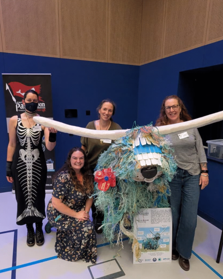 SIF MLWG attend the Project One Wave – The Scottish Islands Federation